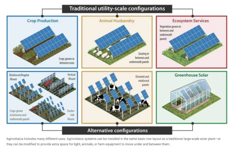 Agrivoltaic farming: can it solve the food and energy crisis?