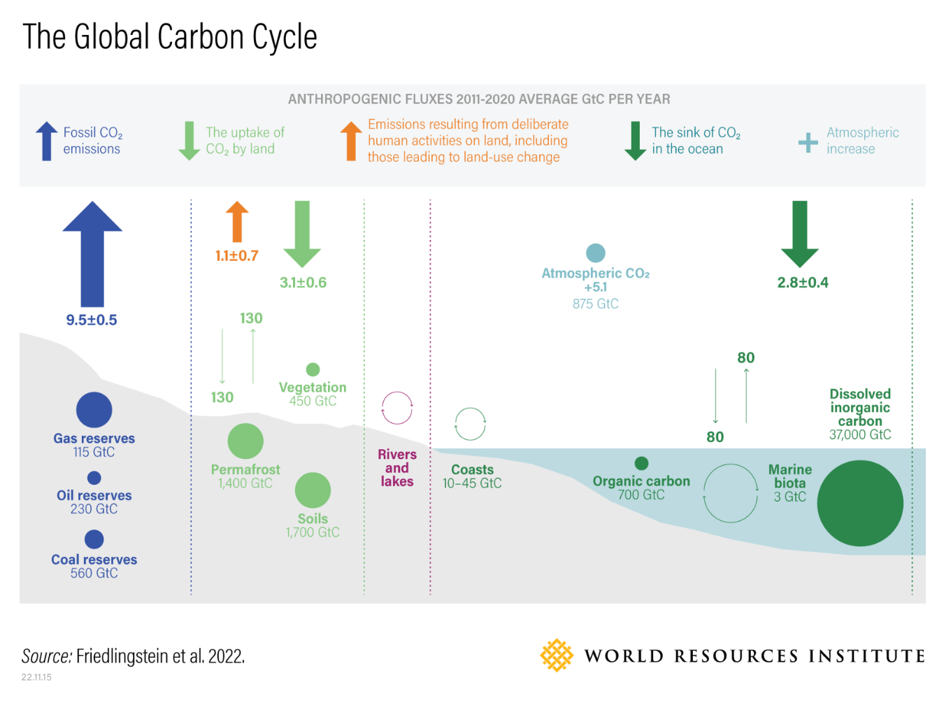 Blue carbon: Do oceans hold the key to carbon removal?