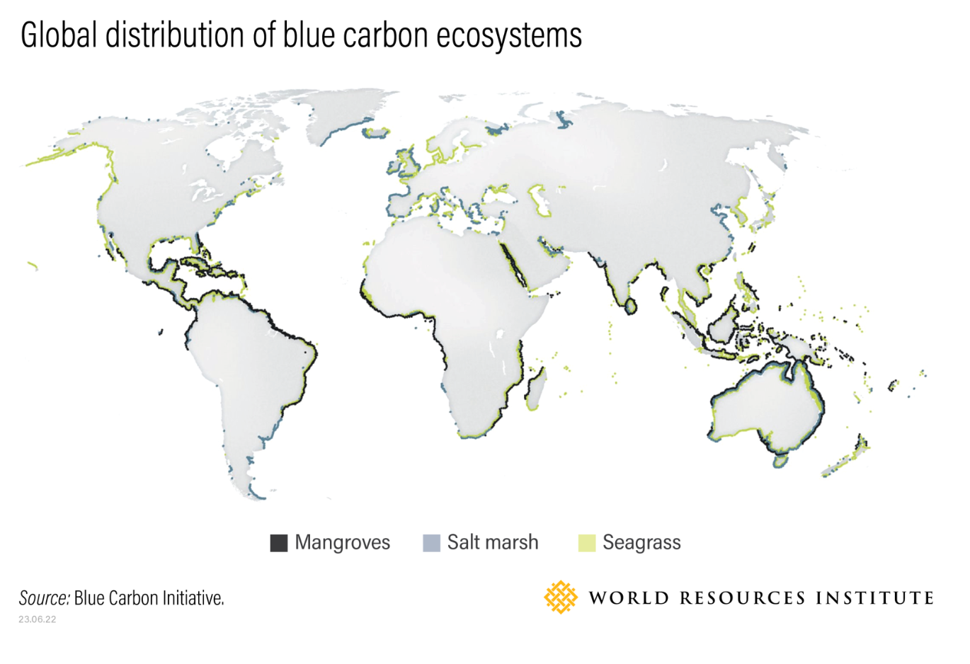 Blue carbon: Do oceans hold the key to carbon removal?