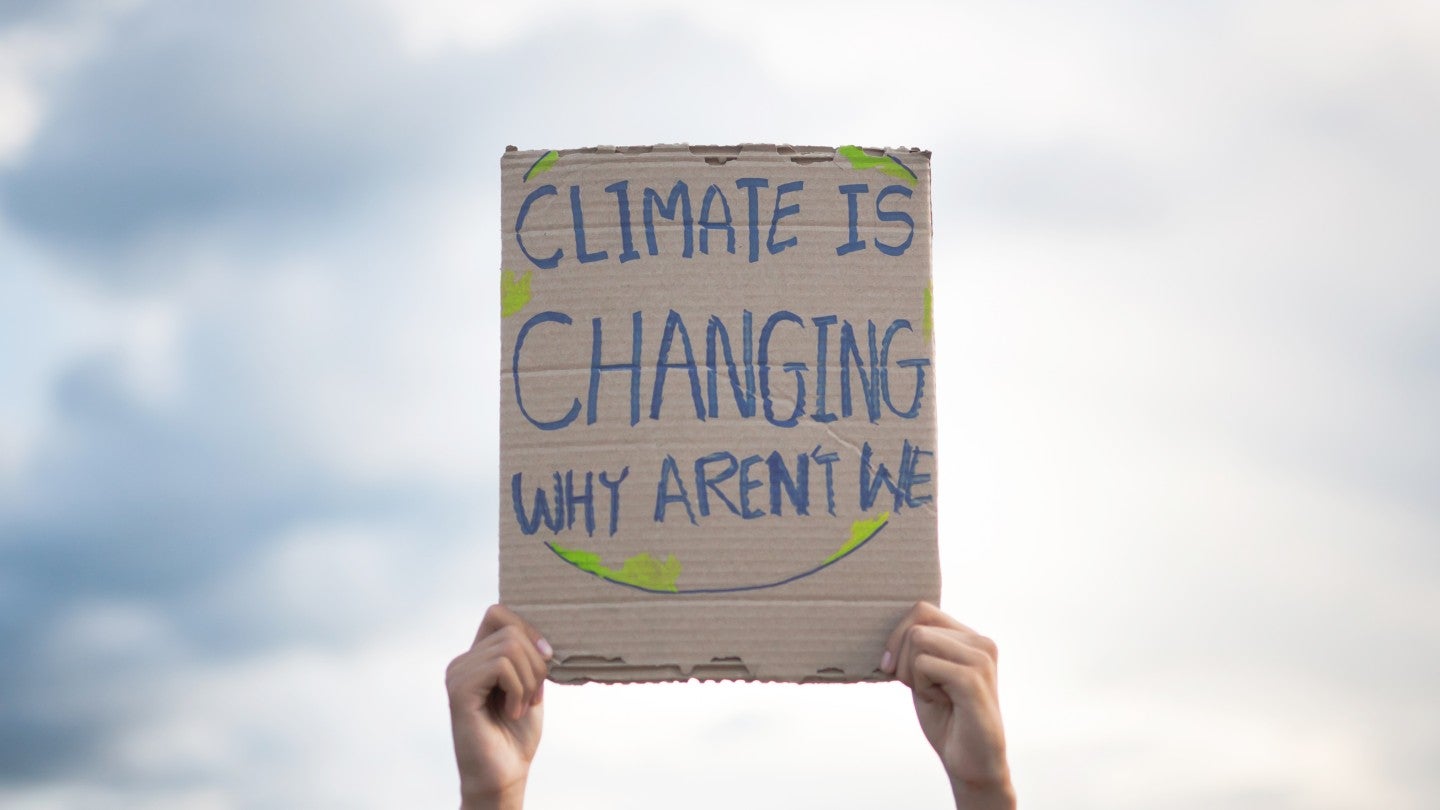 What is 'green capitalism' and can it tackle the climate crisis?