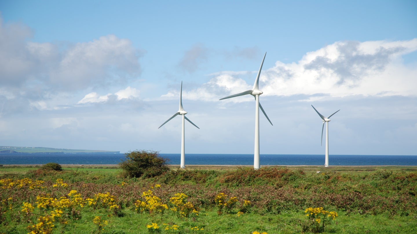Wind energy supplied 24% of Ireland's electricity in July 2025: WEI